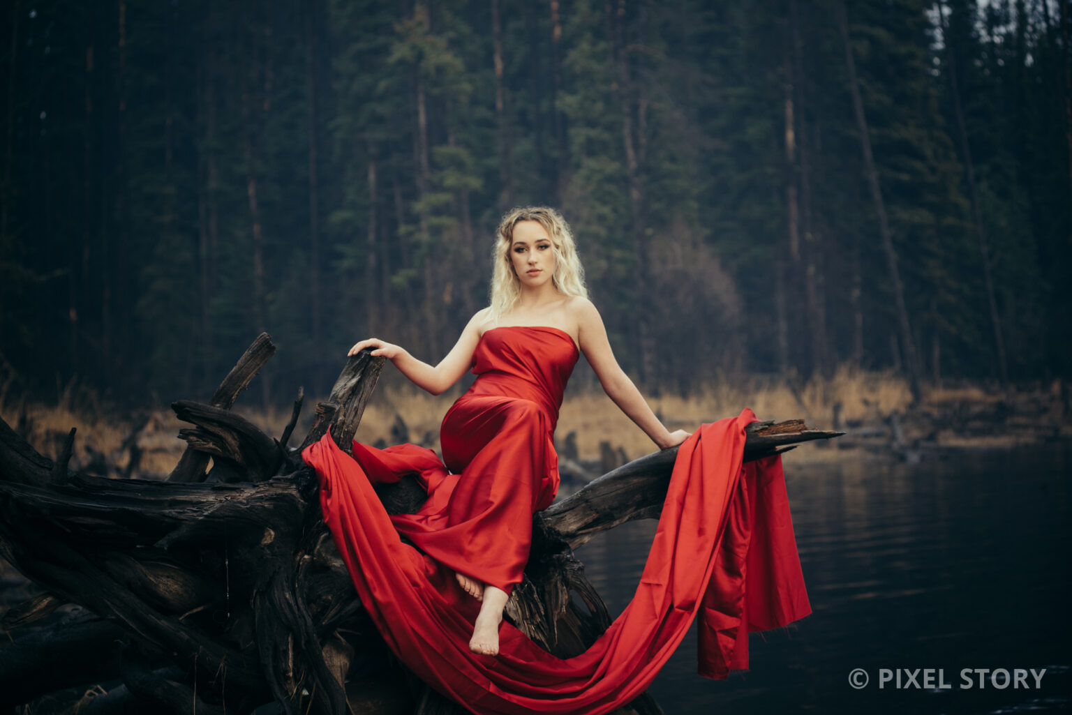 Fine Art - Fine Art Portraits by Cora-Lee